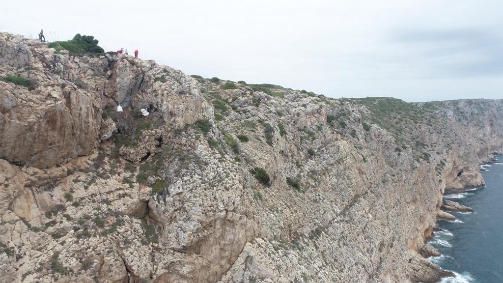 Cliff-side invasive plant removal – Ropey Science