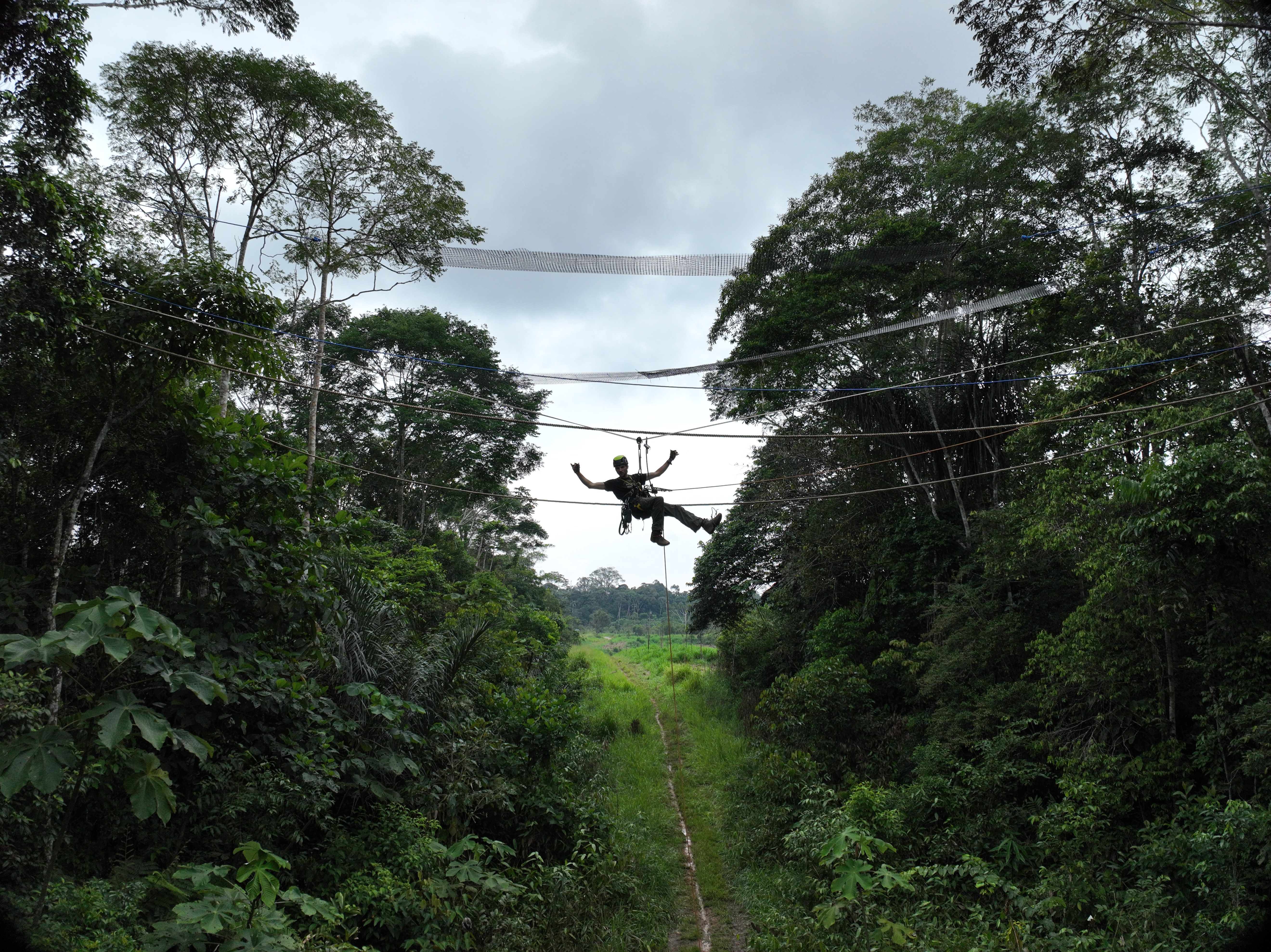Canopy Bridges – Ropey Science